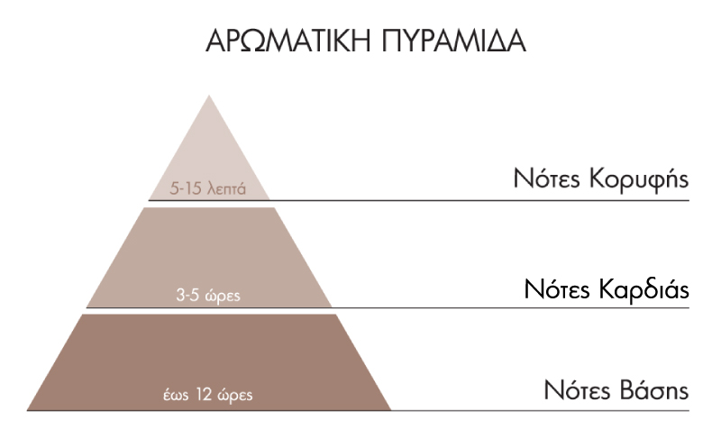 Αρωματική Πυραμίδα – Perfume Gravity